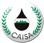 Construcciones y Arrendamientos Industriales – CONSTRUCCIONES Y ...